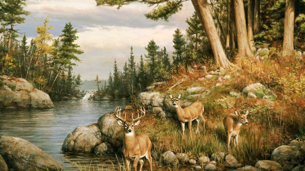 Bills Custom Leather SC